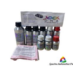 DNA Chrome Kits Archives - Spectra Automotive Paints